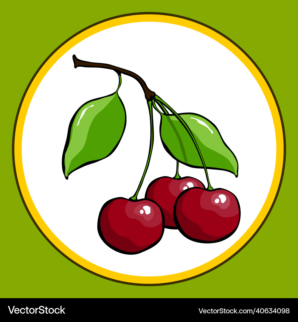 Drawn cherry ripe fruit Royalty Free Vector Image