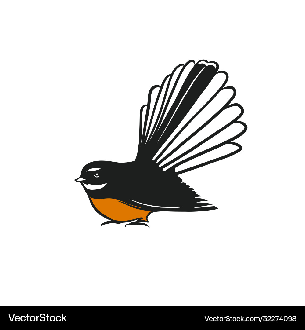 Fantail bird Royalty Free Vector Image - VectorStock