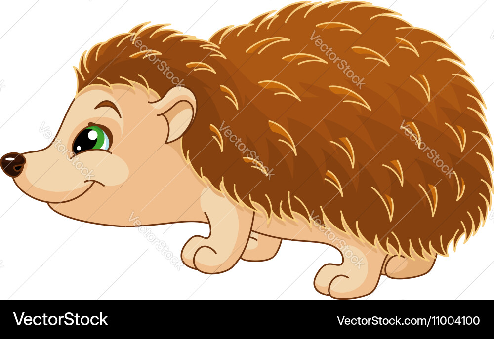 Hedgehog Royalty Free Vector Image - VectorStock