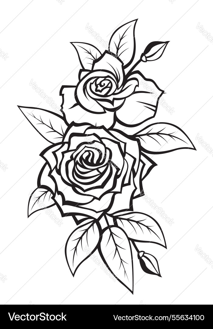 Rose bouquet Royalty Free Vector Image - VectorStock
