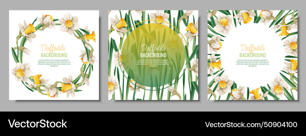 Set of spring background with daffodils postcard Vector Image