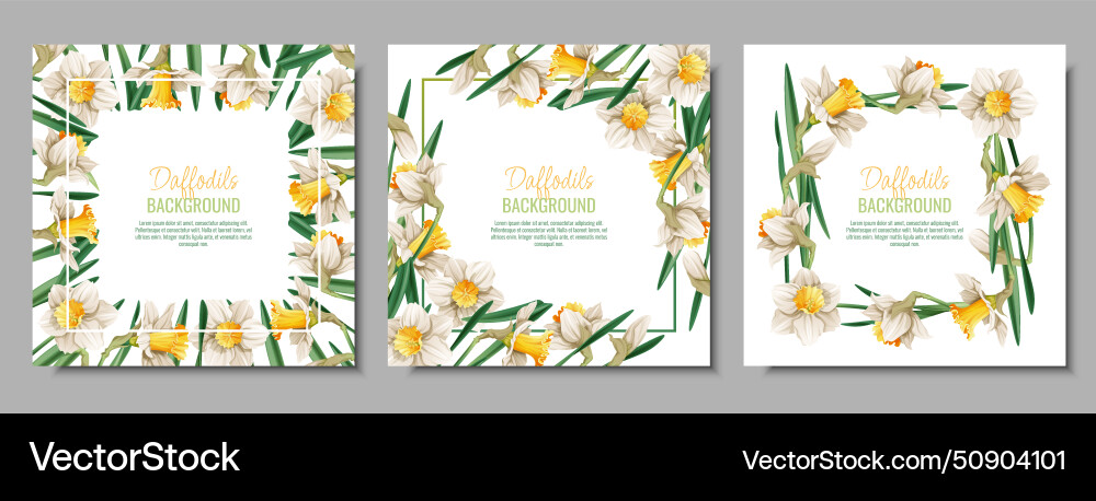 Set of spring background with daffodils postcard Vector Image