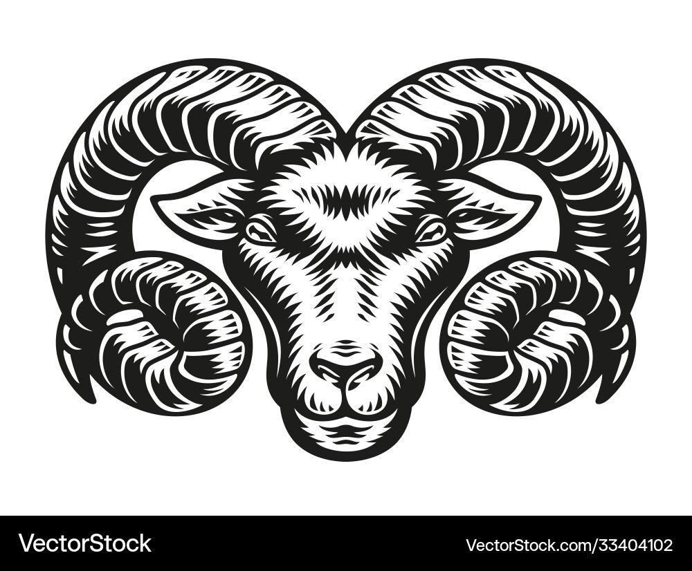 Aries zodiac sign Royalty Free Vector Image - VectorStock
