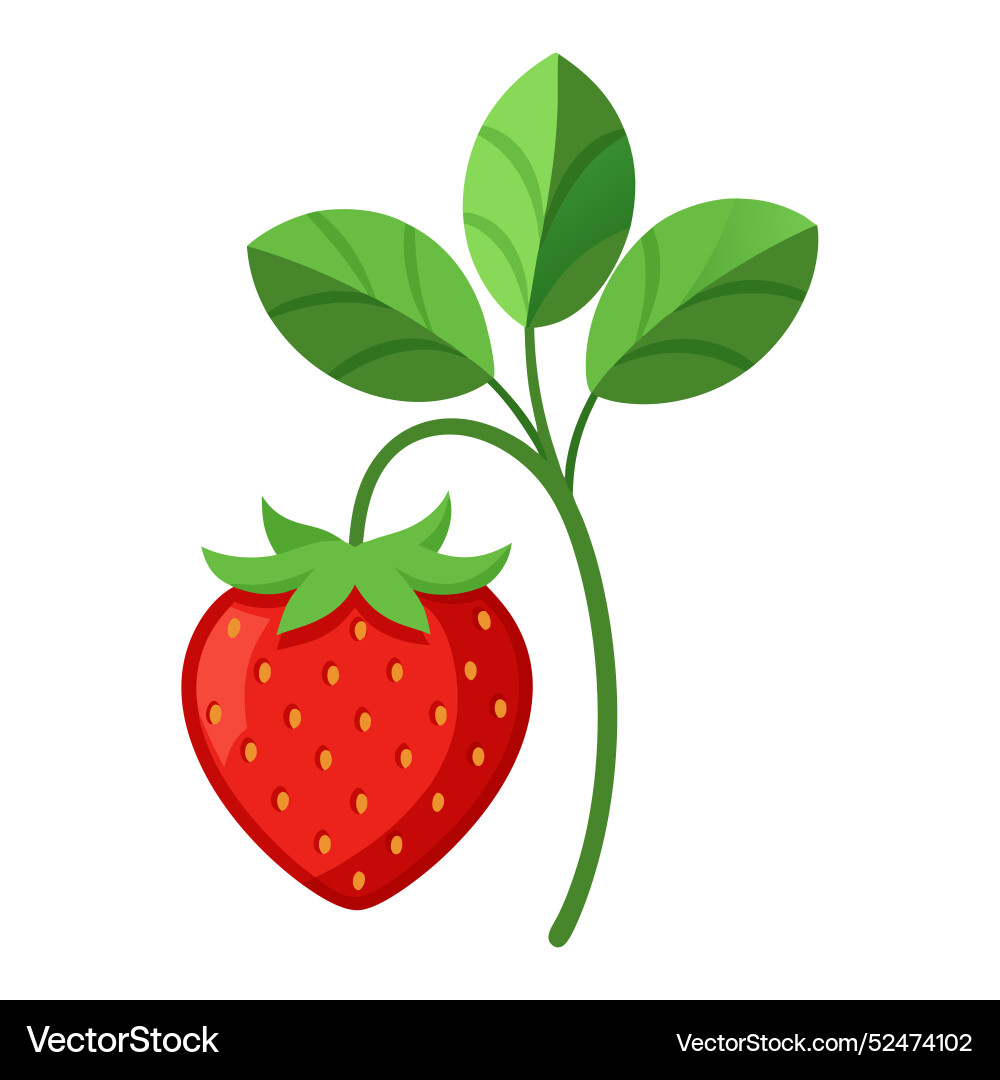 Strawberry colorful fruit modern abstract flat Vector Image