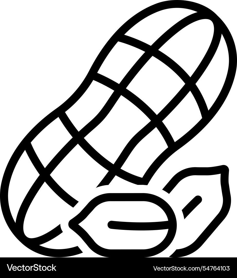 Peanuts Royalty Free Vector Image - VectorStock