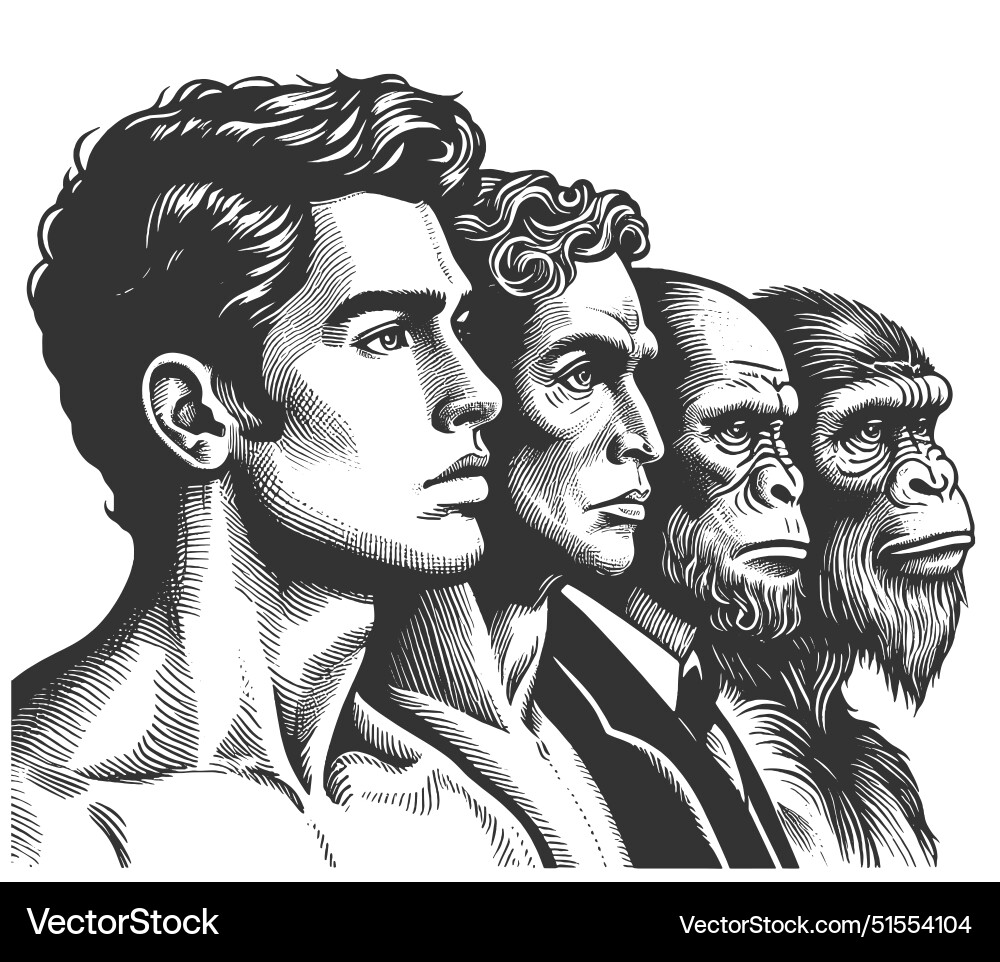 Human Evolution: Ape to Modern Man Royalty Free Vector Image