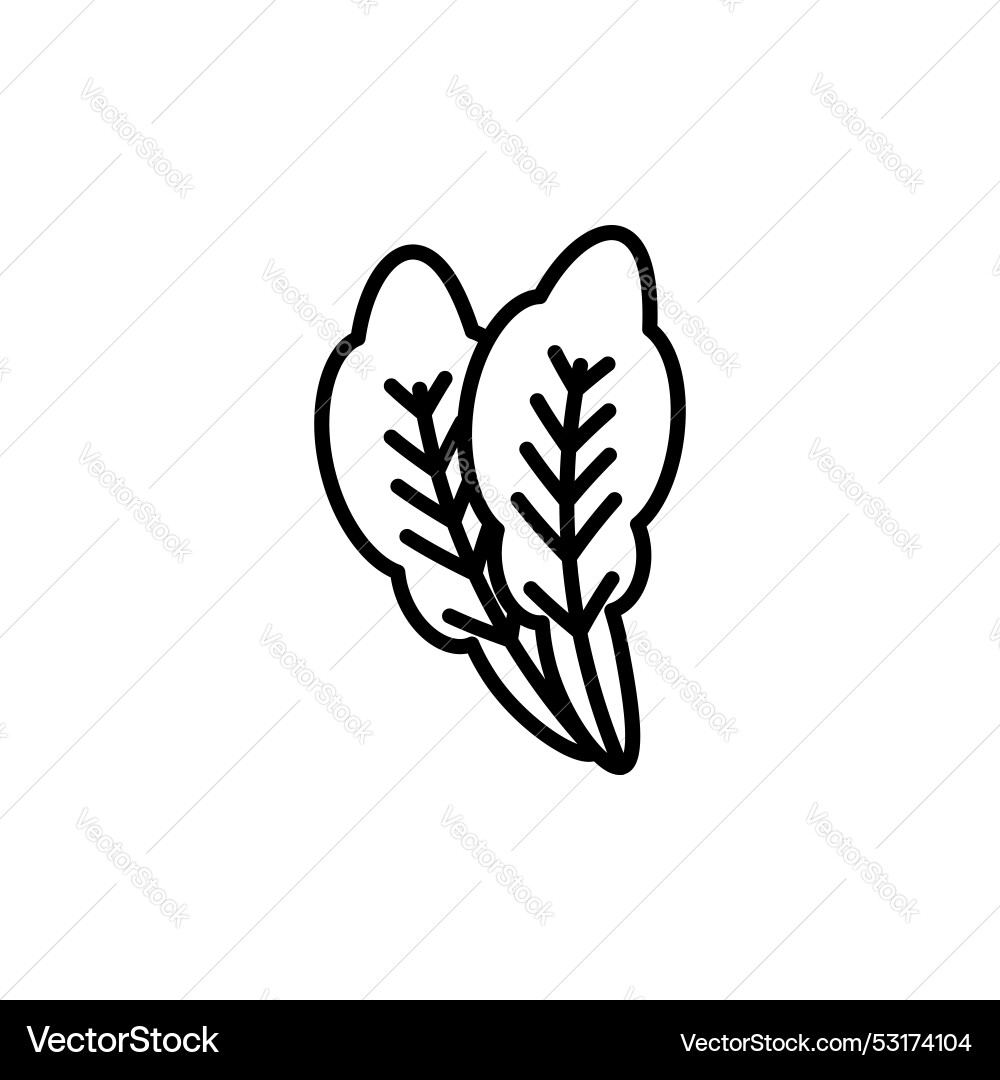 Lettuce icon set cabbage vegetable plant symbol Vector Image
