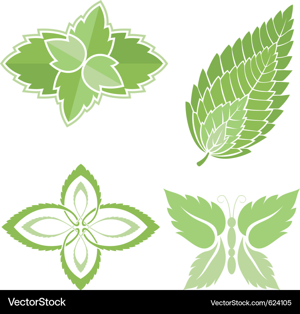 Fresh Mint Leaves Icons Royalty Free Vector Image
