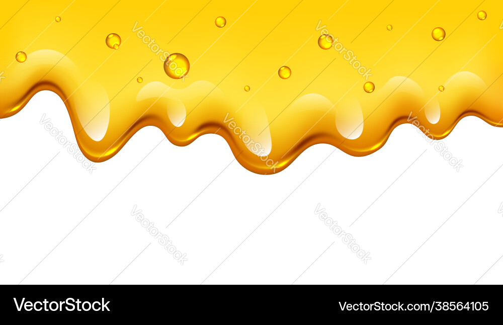 Realistic golden dripping honey border on white Vector Image
