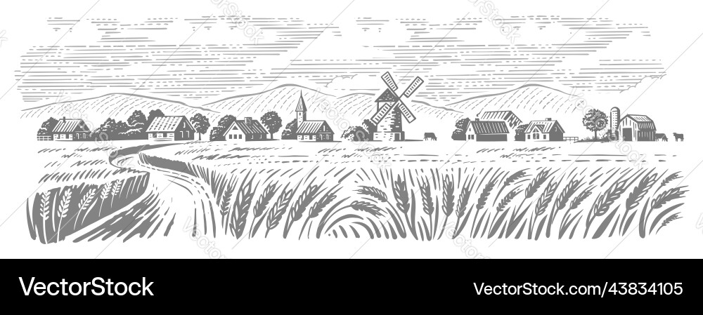 Wheat village landscape farm and fields Royalty Free Vector