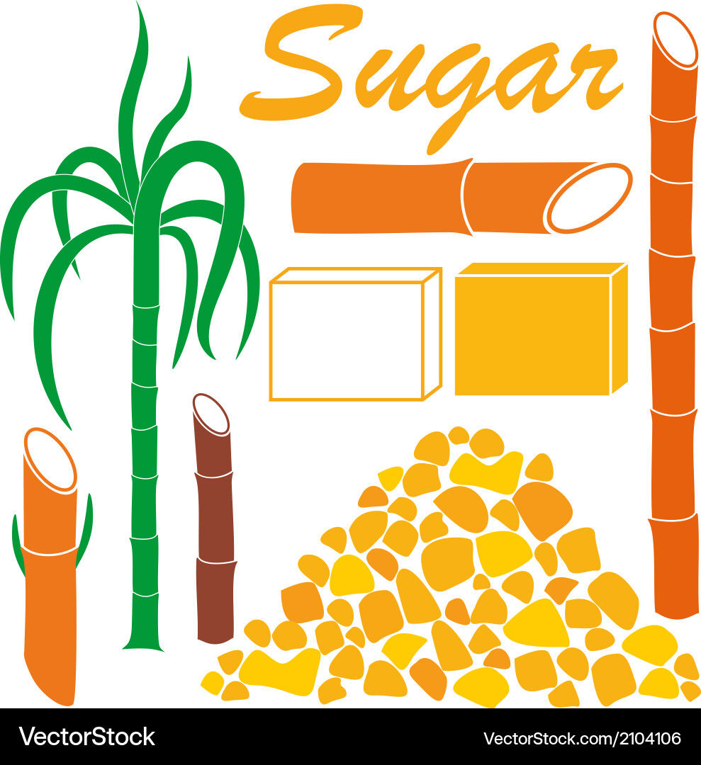 Sugar Royalty Free Vector Image - VectorStock