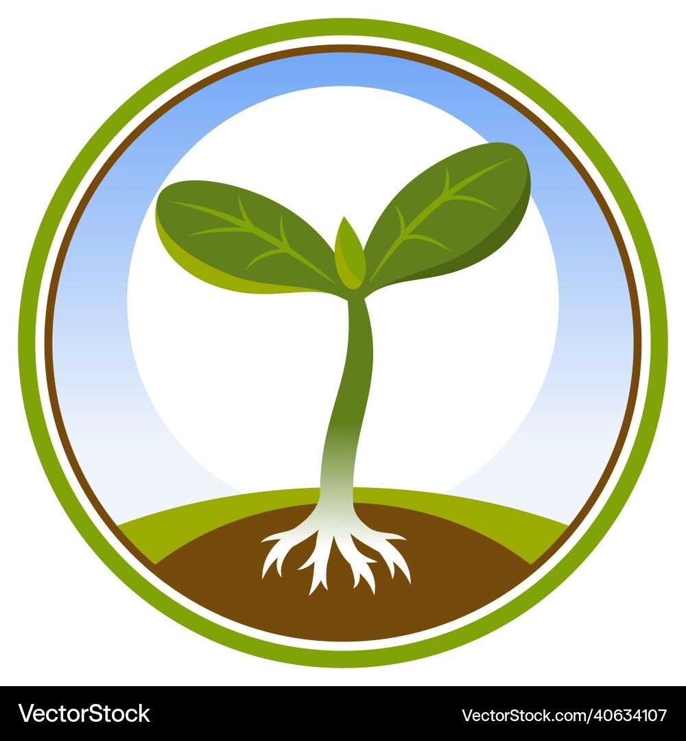 Plant sprout with root Royalty Free Vector Image