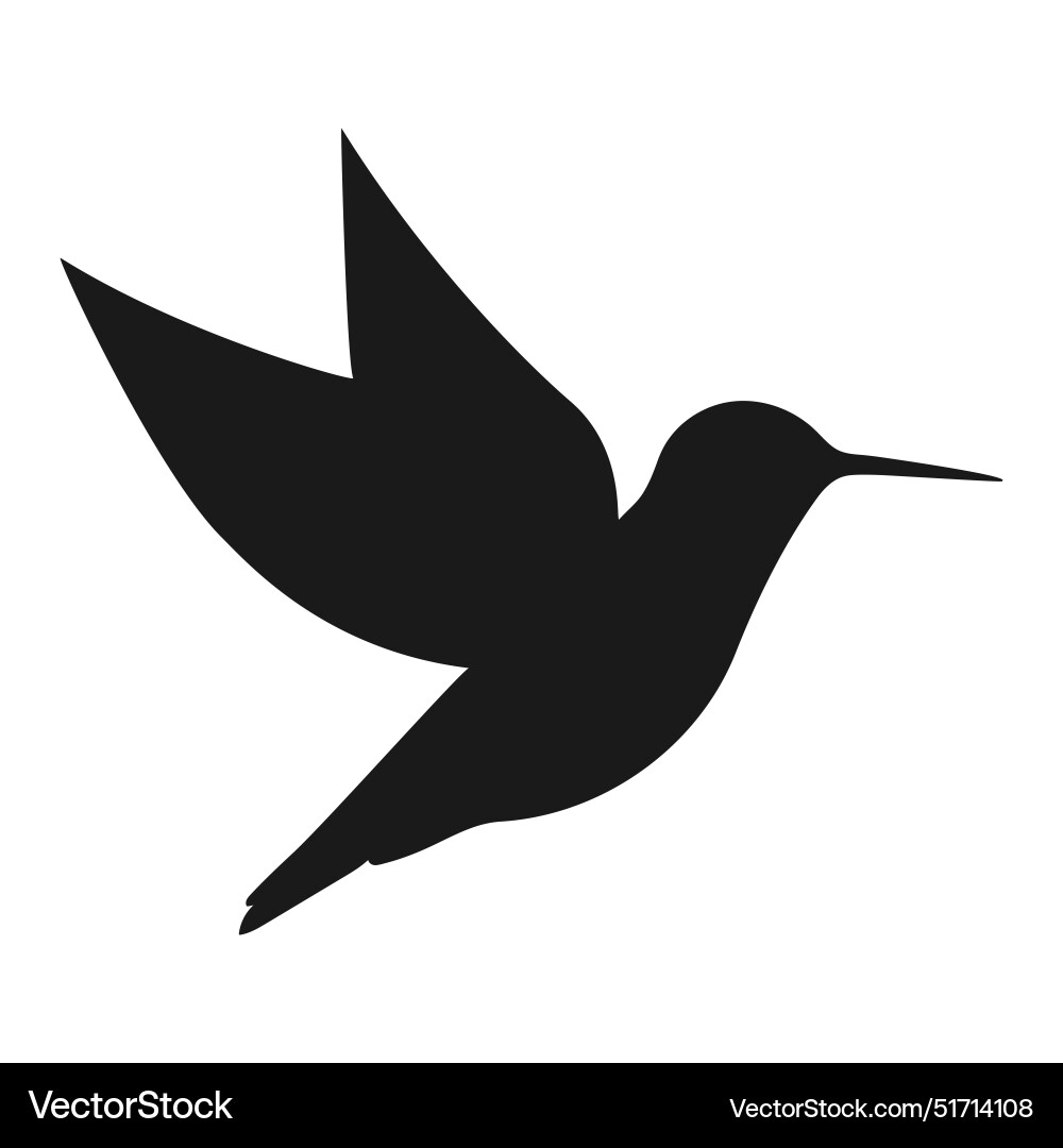 Colibri bird silhouette isolated on white Vector Image