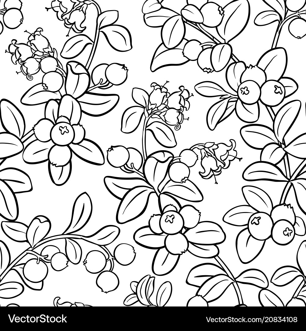 Cranberry Berry Pattern Royalty Free Vector Image