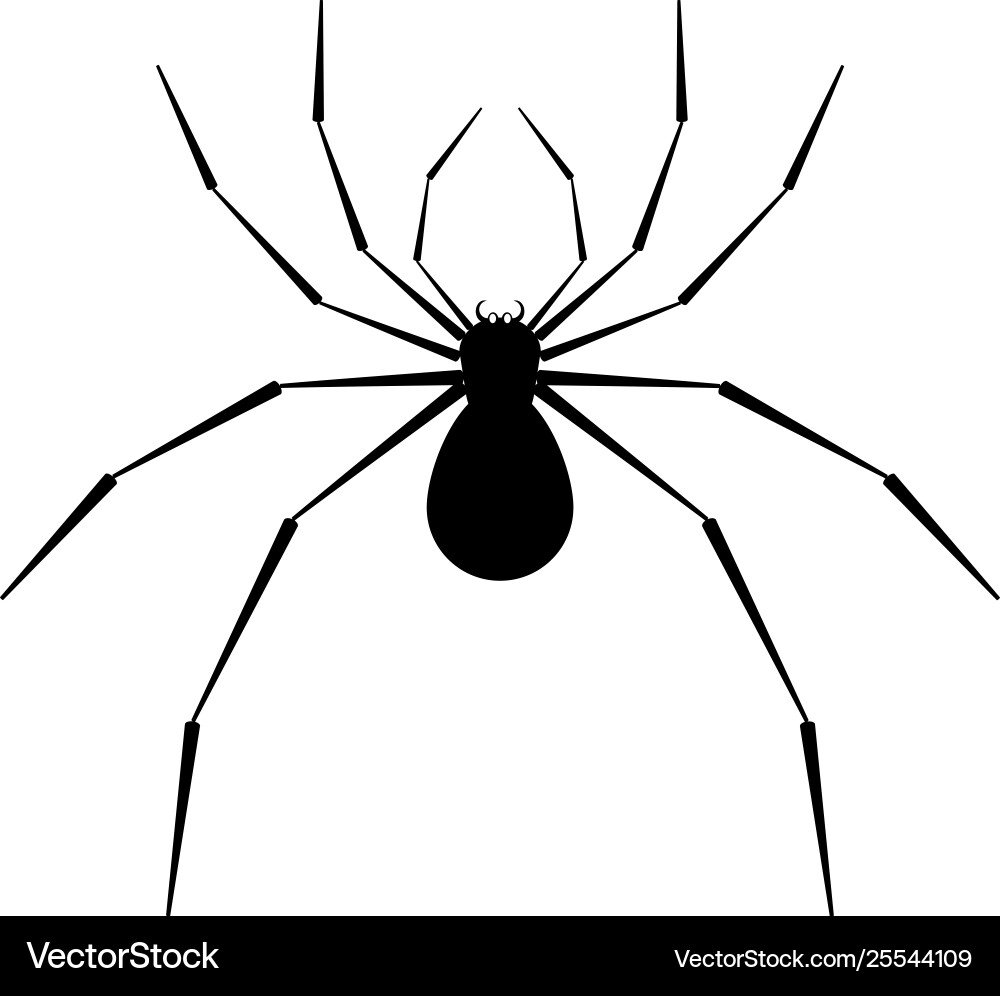 Spider Royalty Free Vector Image - VectorStock