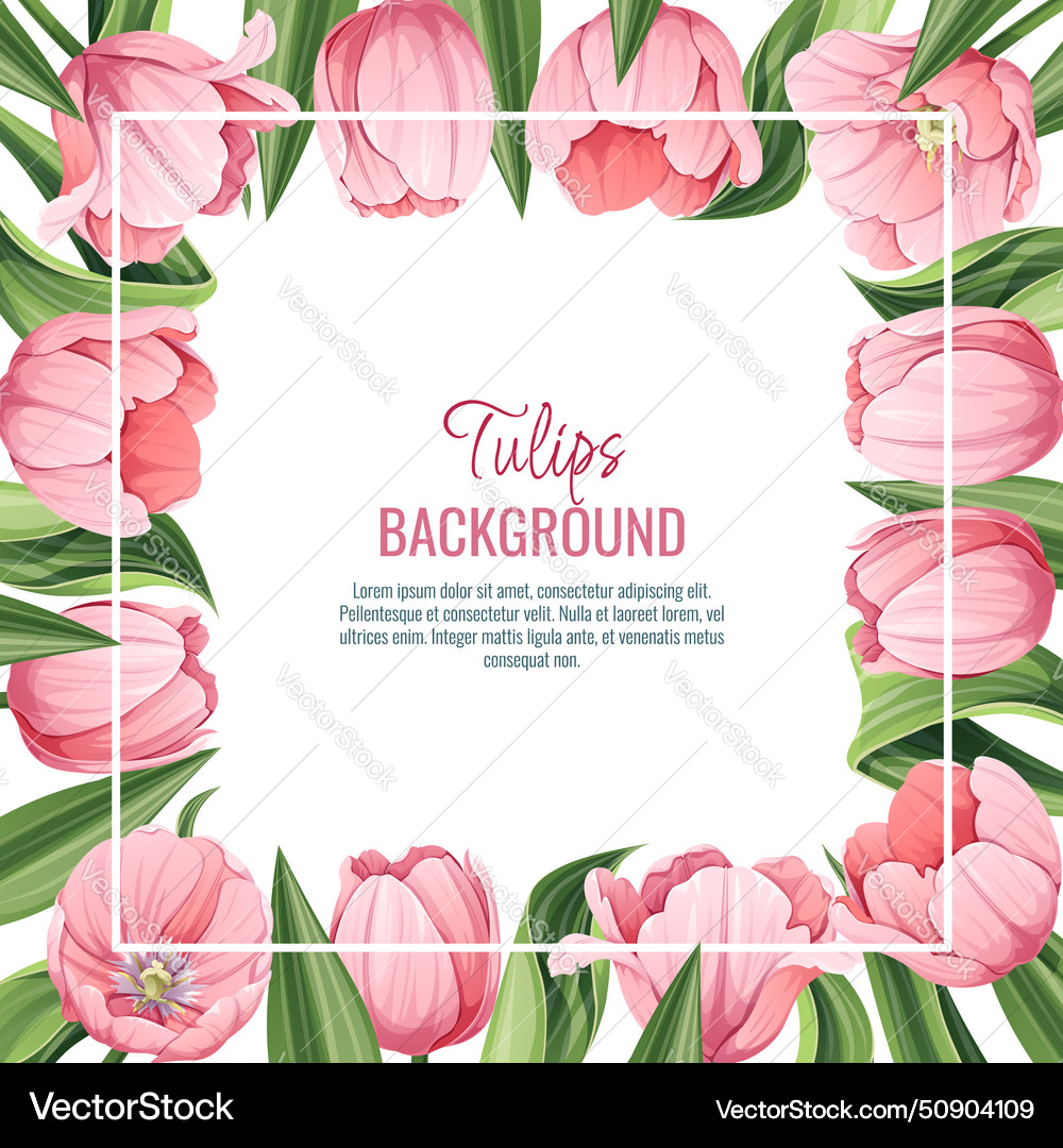 Template for greeting card banner with pink Vector Image