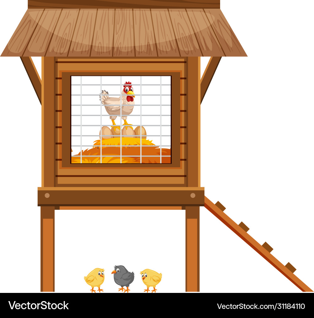 Chicken Coop Cartoon