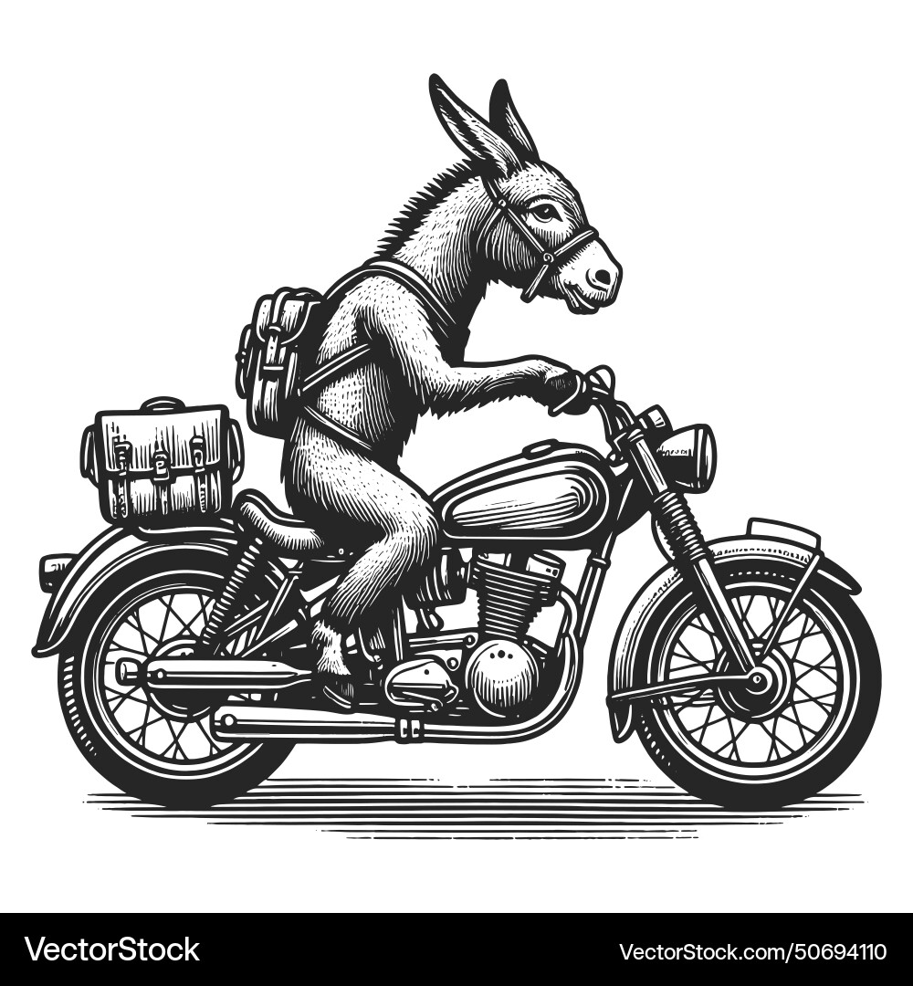 Donkey riding motorcycle sketch Royalty Free Vector Image