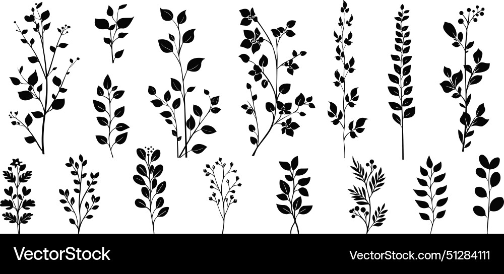 Minimal feminine botanical floral branch Vector Image