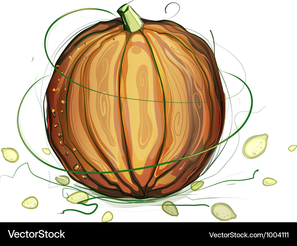 Pumpkin and seeds Royalty Free Vector Image - VectorStock