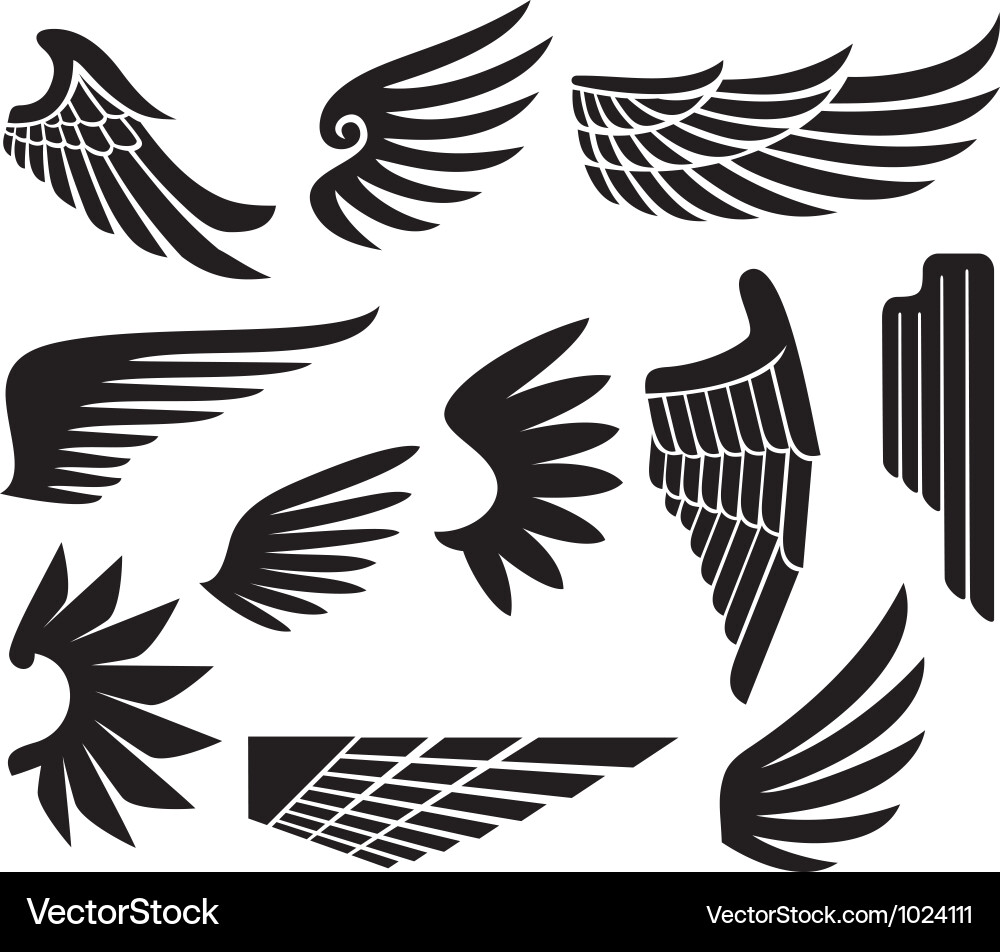 Wings collection Royalty Free Vector Image - VectorStock