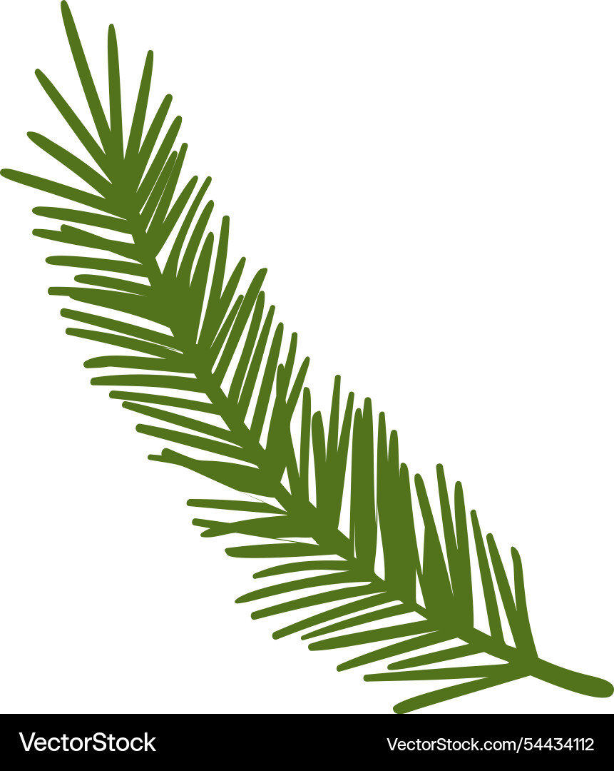 A green leafy branch with white background Vector Image