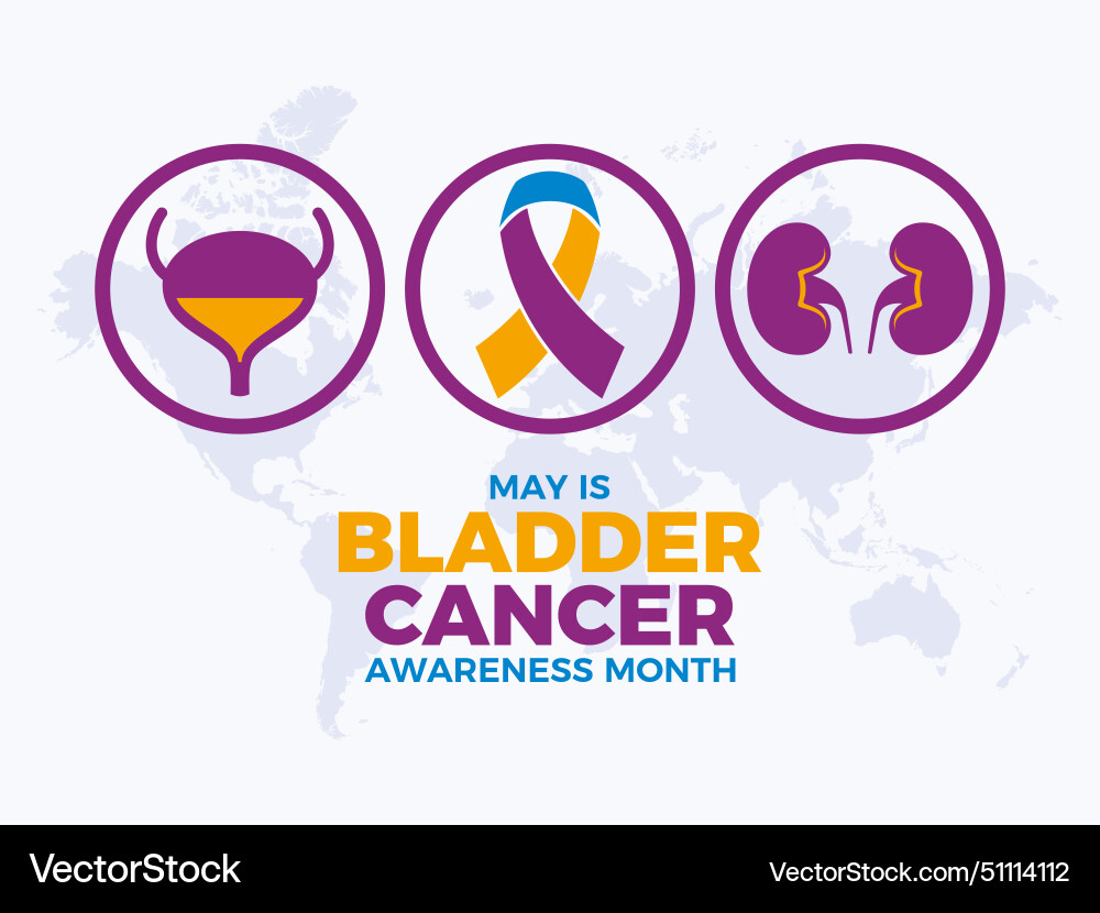 May is bladder cancer awareness month poster Vector Image
