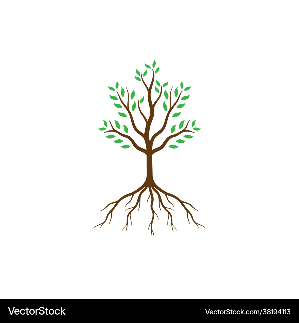Abstract tree with roots and green leaves Vector Image