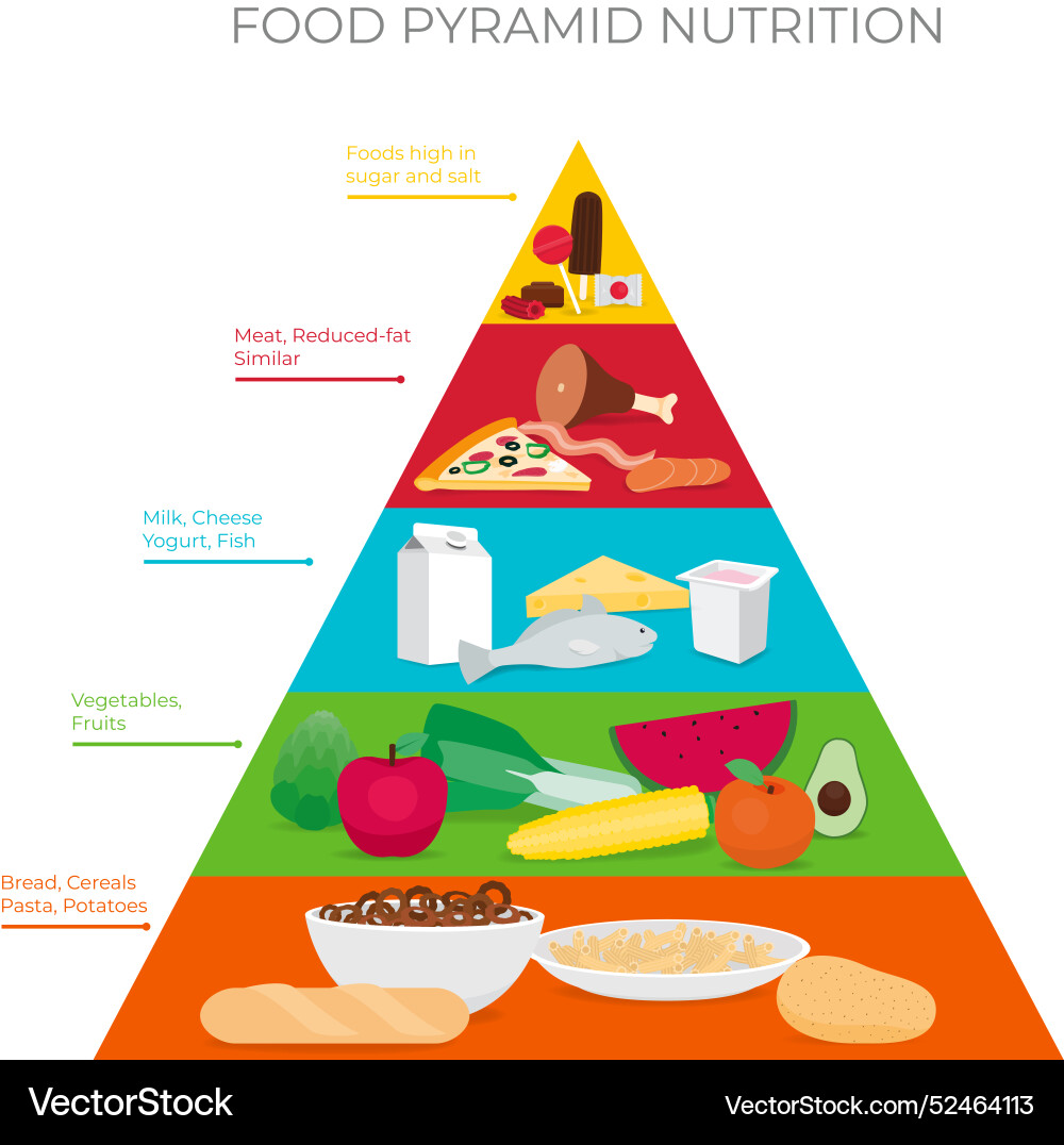 Food and diet pyramid Royalty Free Vector Image