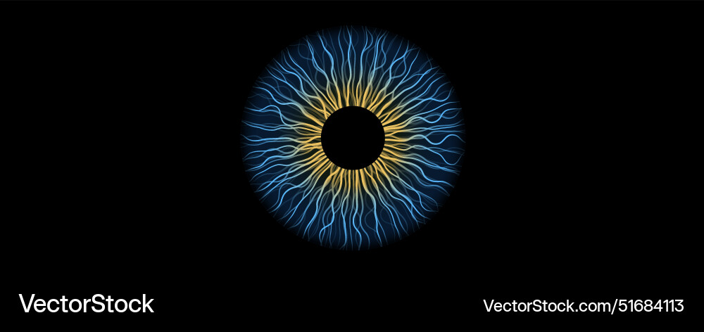 Human iris poster Royalty Free Vector Image - VectorStock