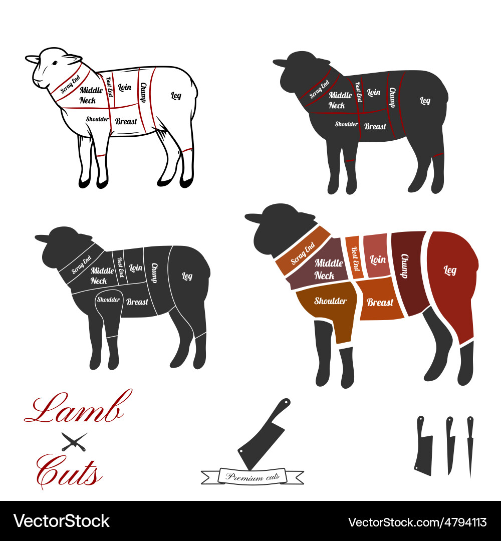 Lamb Cuts Diagram - Anatomy Royalty Free Vector Image