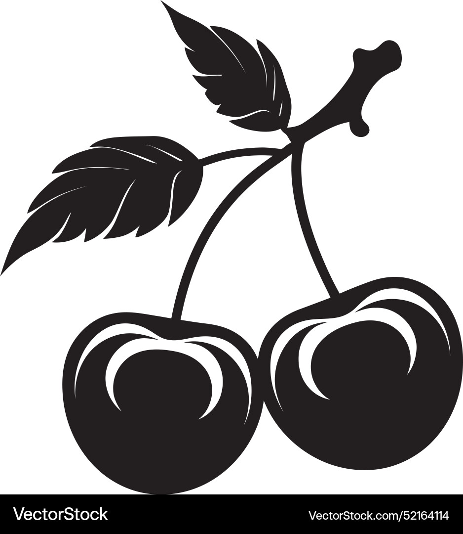 Cherries and their culinary versatility Royalty Free Vector