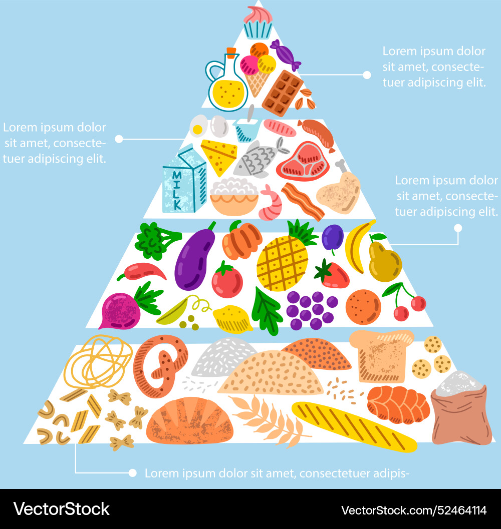 Food pyramid with essentials Royalty Free Vector Image