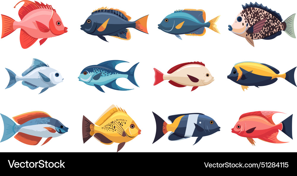 Ocean cartoon fish set simple graphic Royalty Free Vector