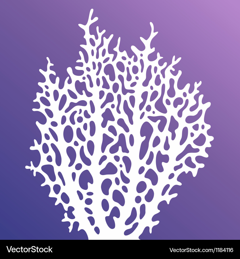 Coral Royalty Free Vector Image - VectorStock