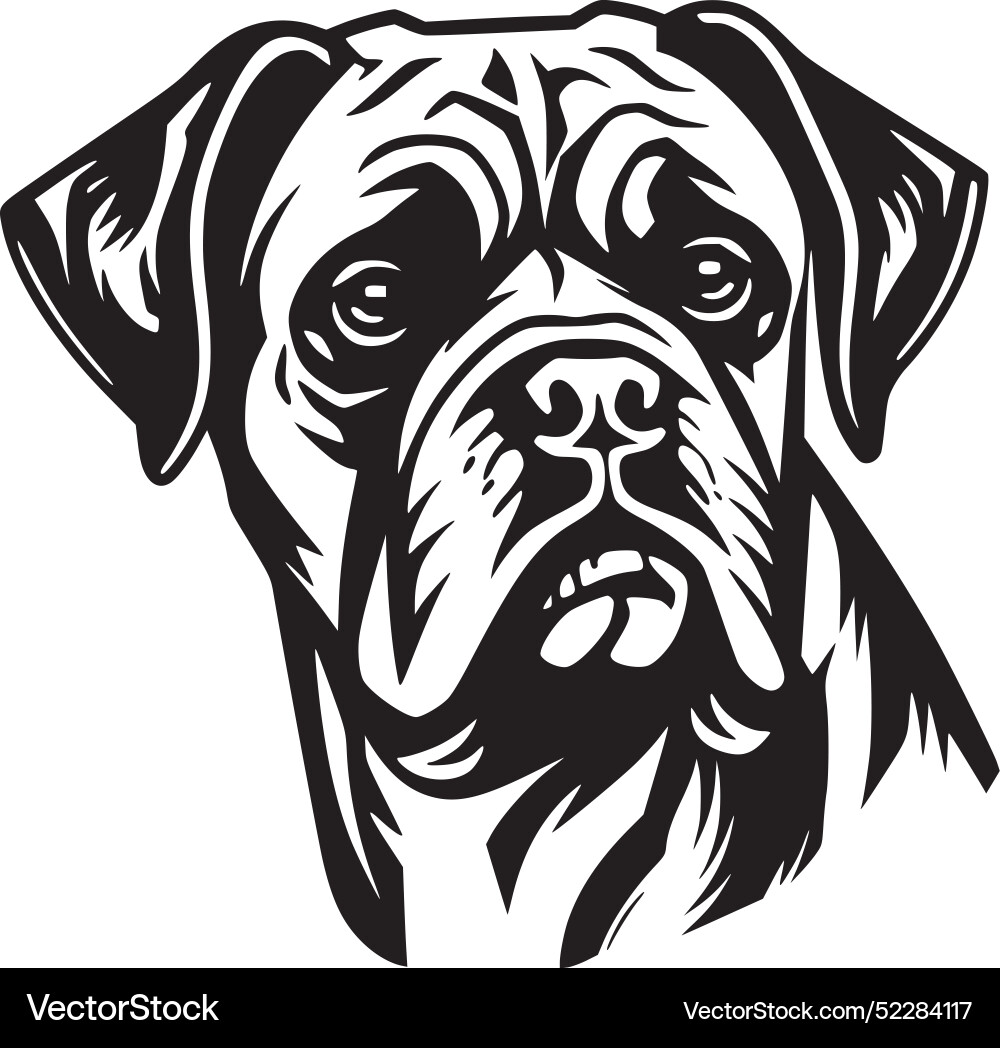 Boxer - black and white isolated icon Royalty Free Vector