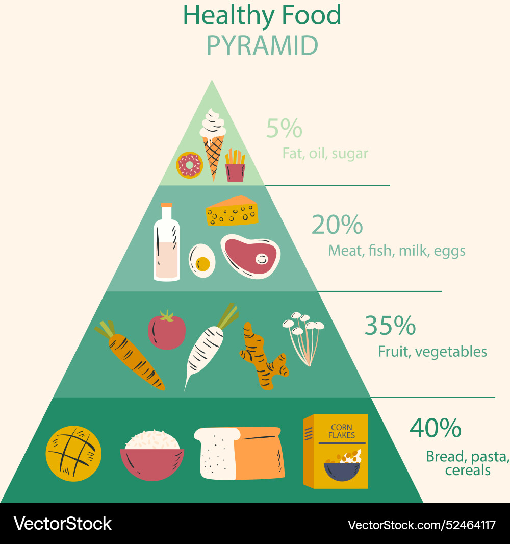Healthy food pyramid Royalty Free Vector Image