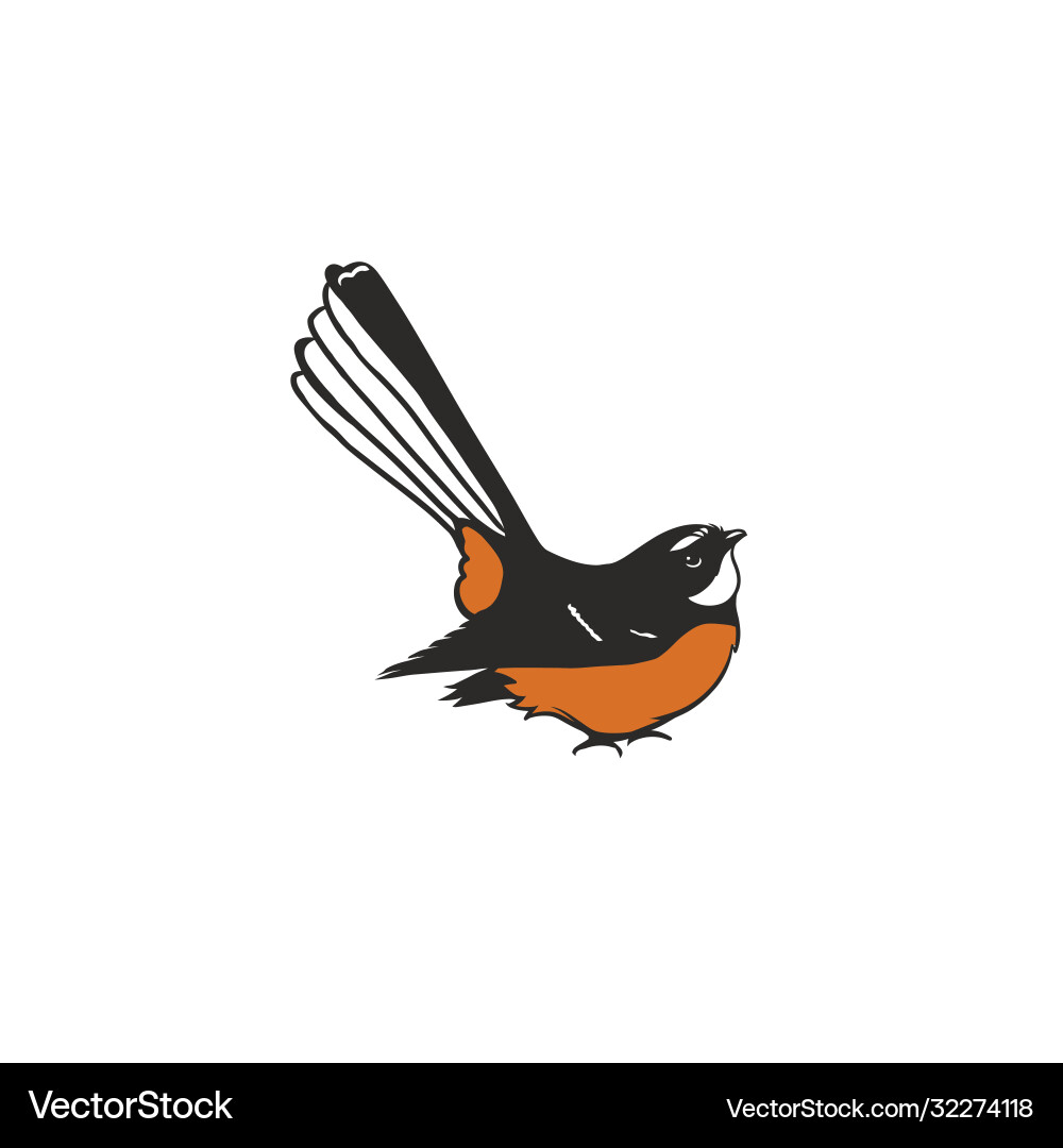 Fantail bird Royalty Free Vector Image - VectorStock