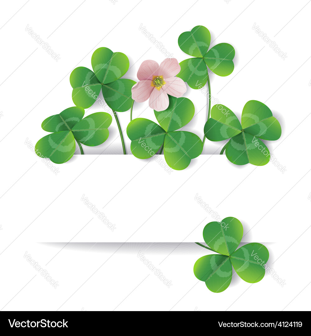 Shamrock Flower Banner Royalty Free Vector Image