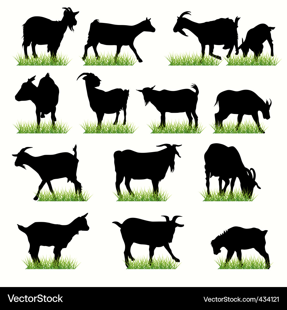 Goats Royalty Free Vector Image - VectorStock