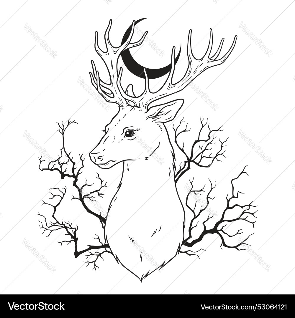 Hand drawn deer in the forest with crescent moon Vector Image