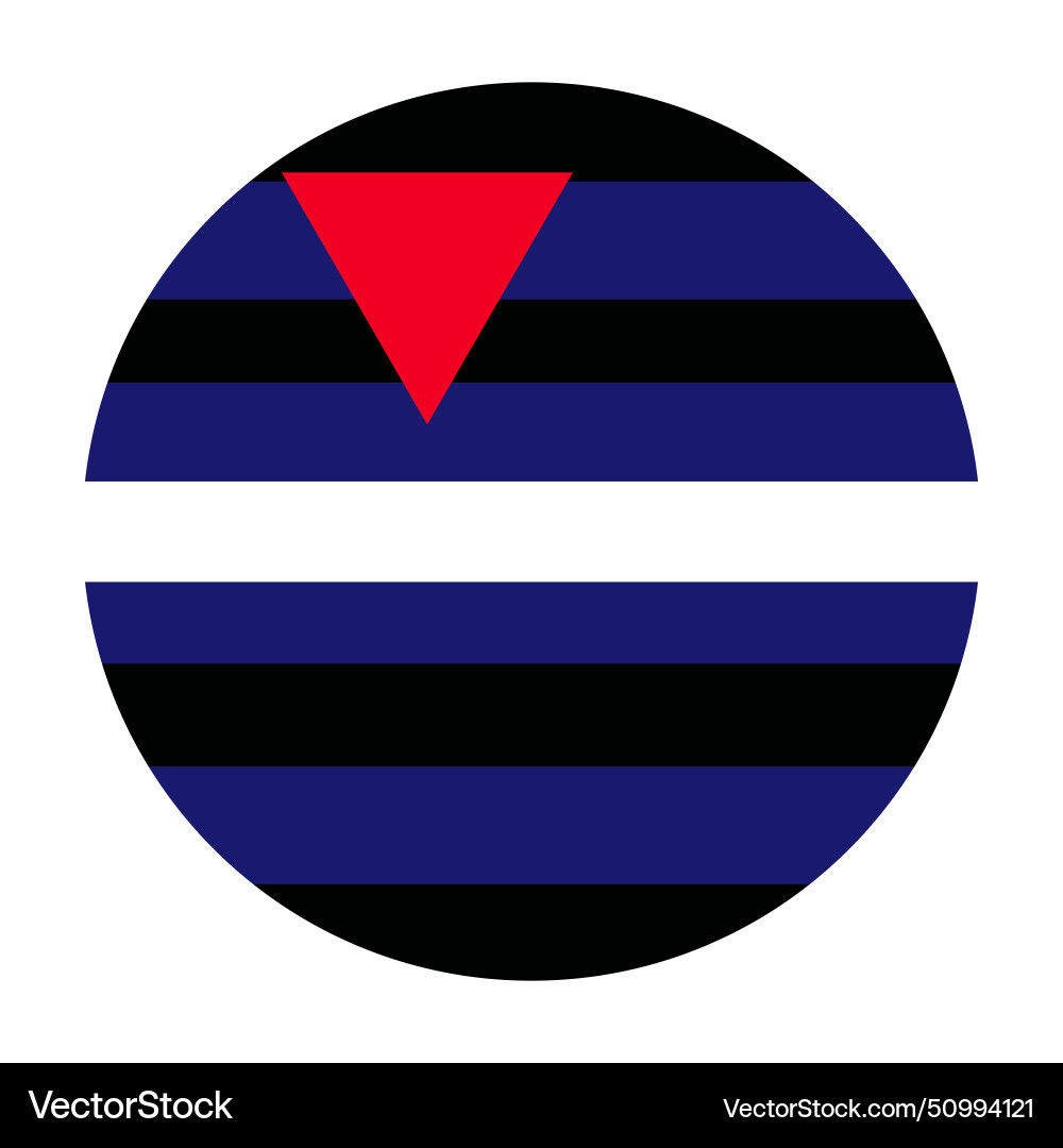 Leather queer pride flag lgbtq plus Royalty Free Vector