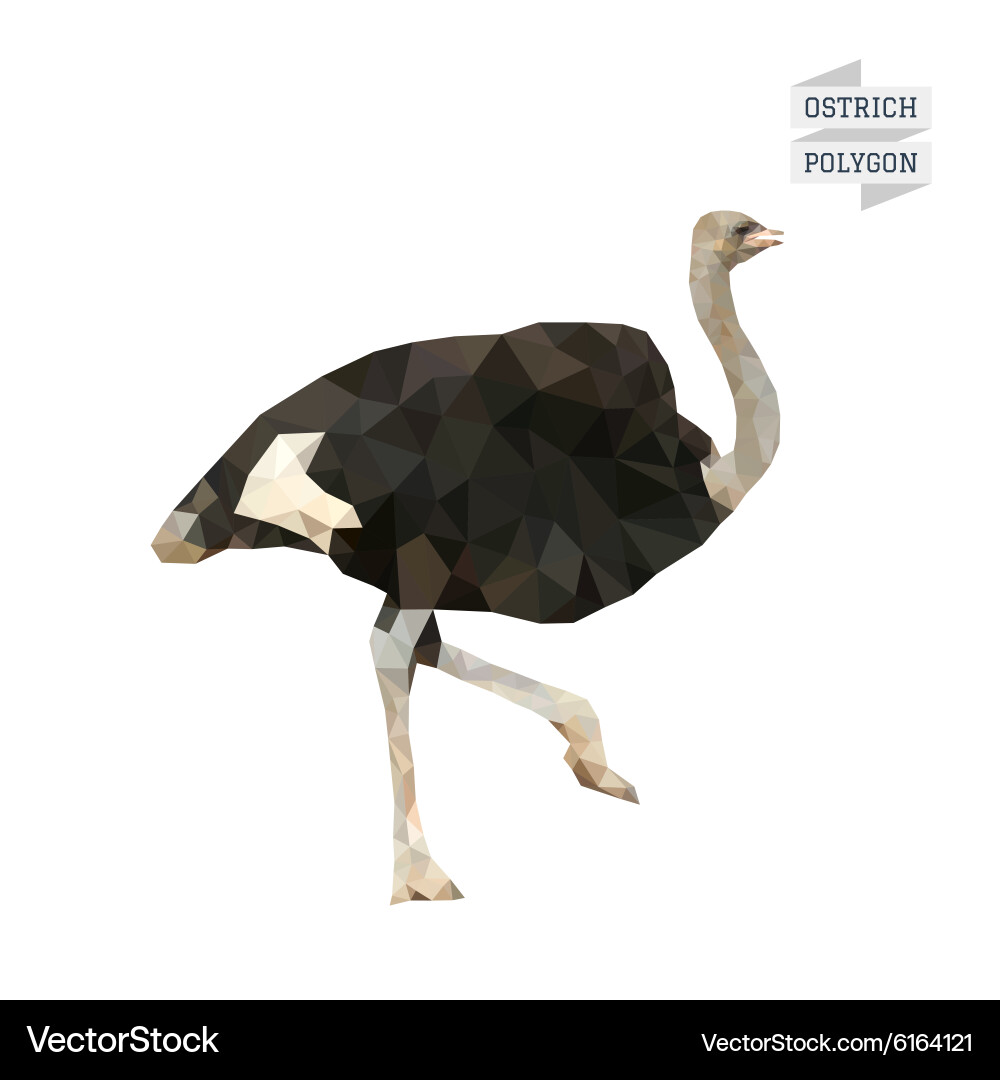 Ostrich polygon Royalty Free Vector Image - VectorStock