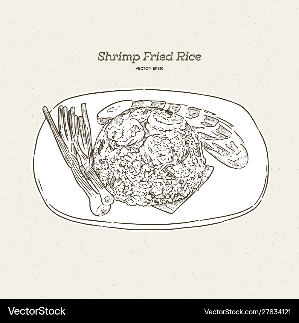 Shrimp fired rice hand draw sketch Royalty Free Vector Image