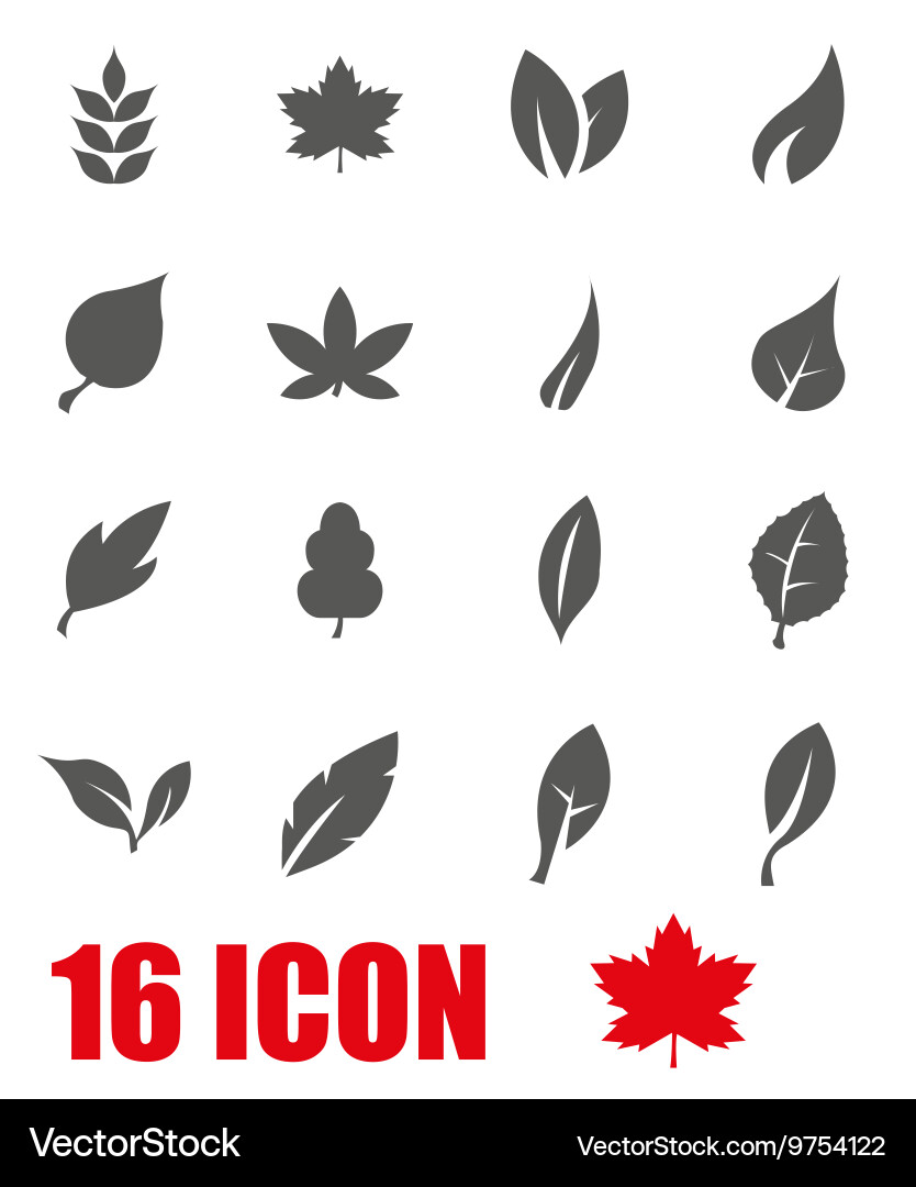 Grey leaf icon set Royalty Free Vector Image - VectorStock