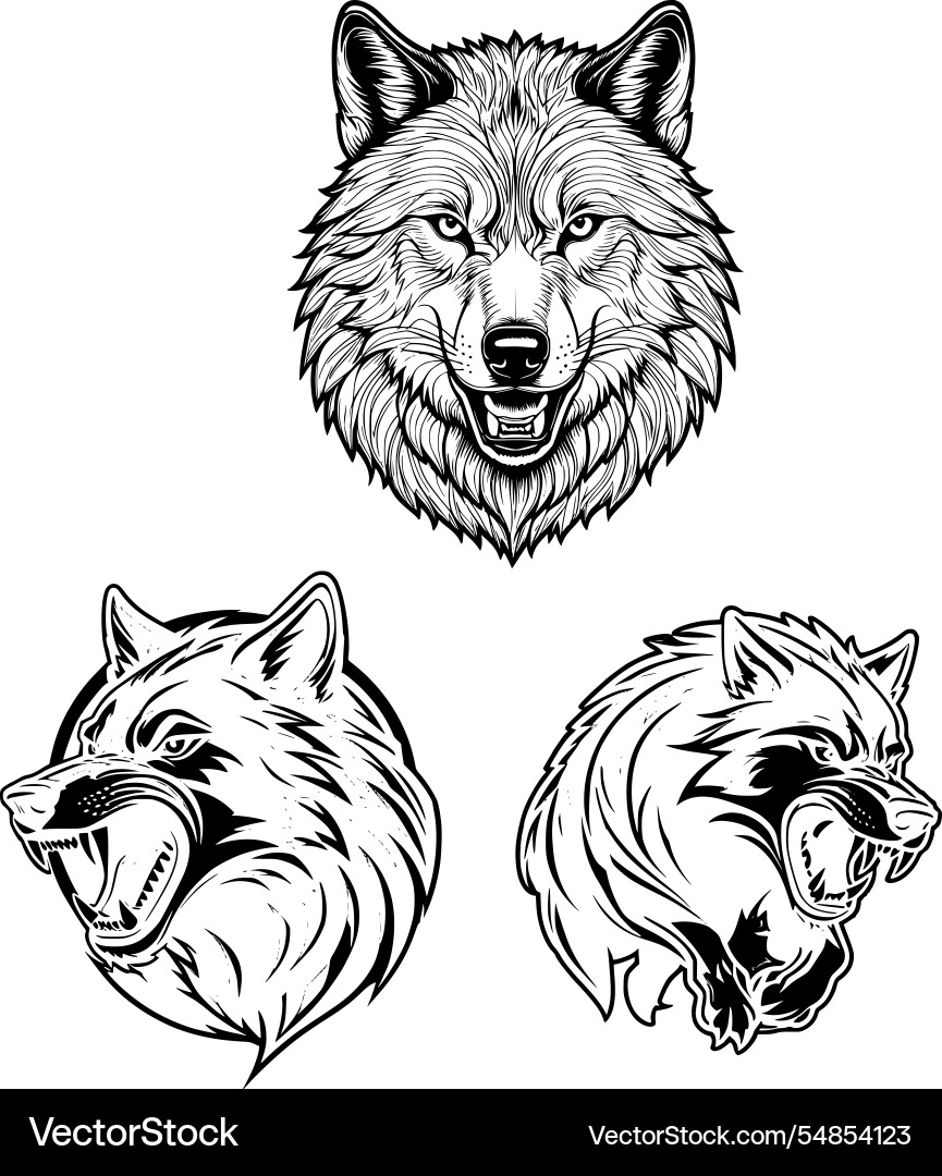 Angry fox face silhouette line art Royalty Free Vector Image