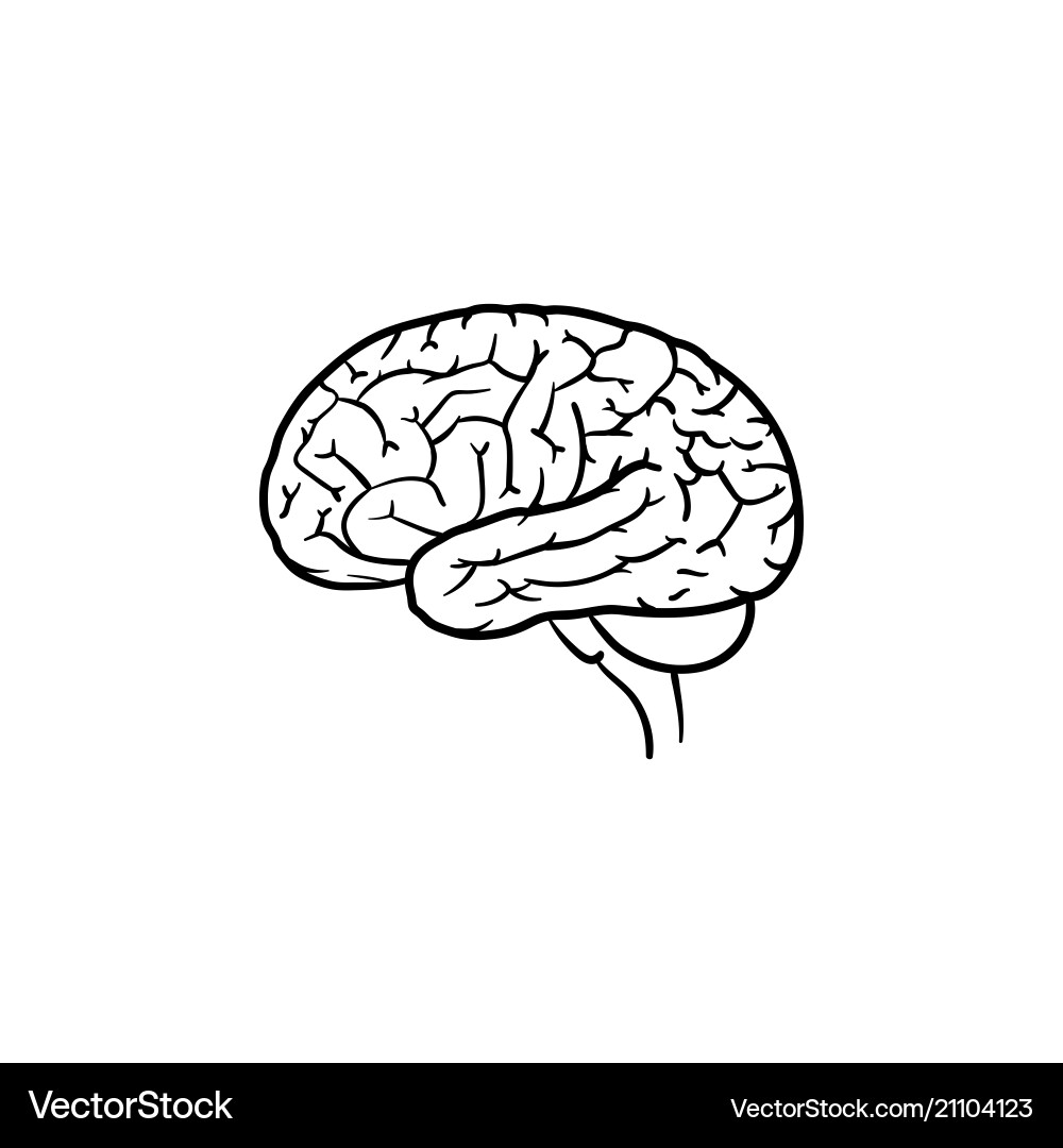 Human brain hand drawn outline doodle icon Vector Image