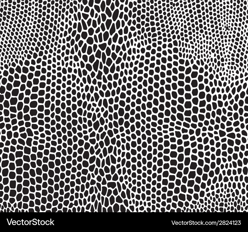 Snakeskin Texture Pattern Royalty Free Vector Image