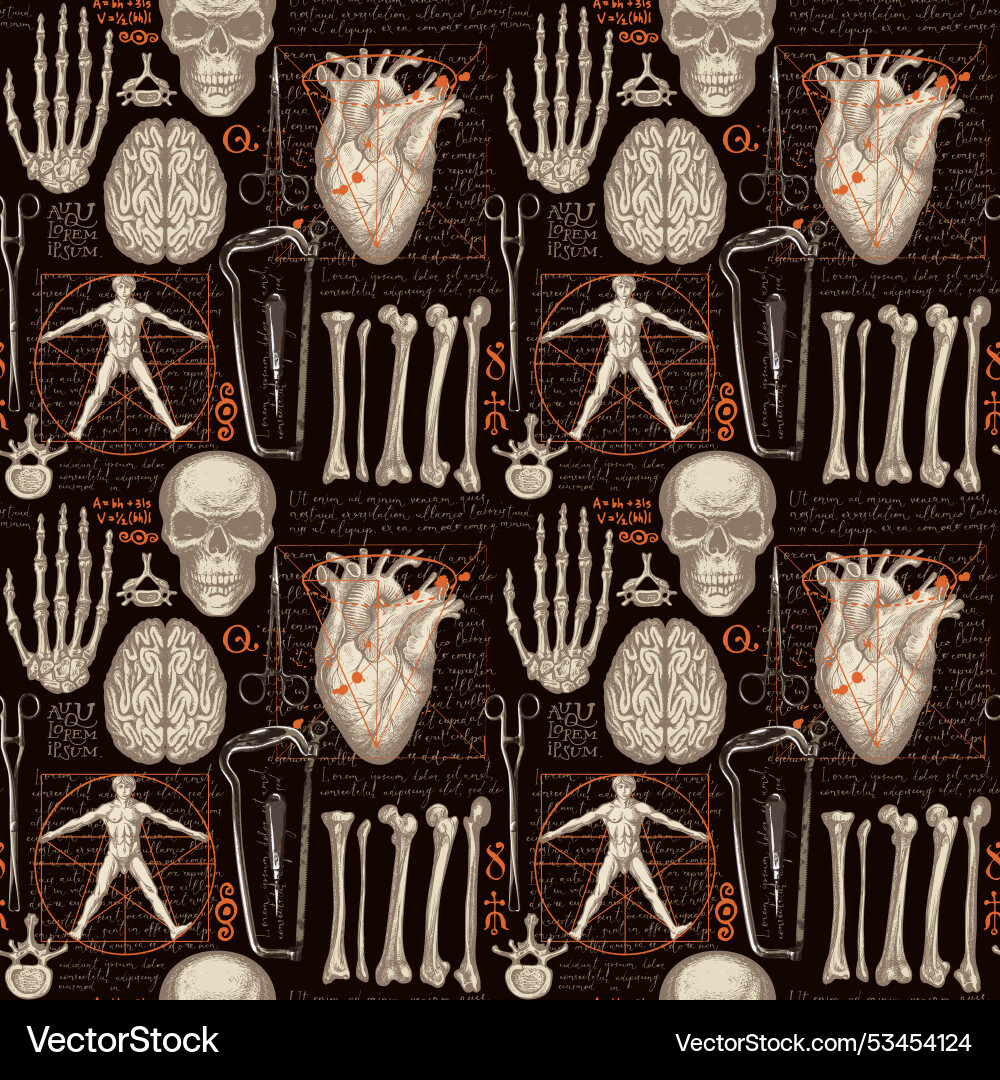 Anatomy seamless pattern with human organs Vector Image