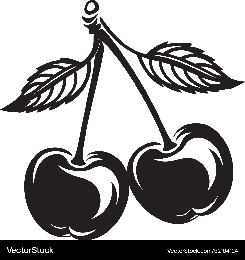 Cherries in the garden growing tips cherry themed Vector Image